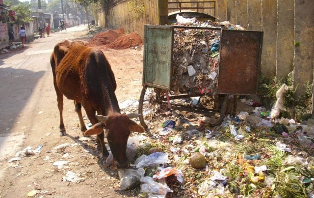 The nuisance... | The Daily Star