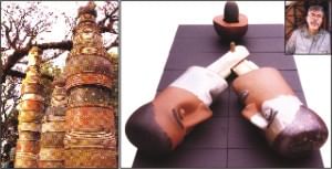 Nature's largesse and allure | The Daily Star