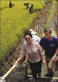 Philippines' Arroyo orders raids on rice hoarders | The Daily Star