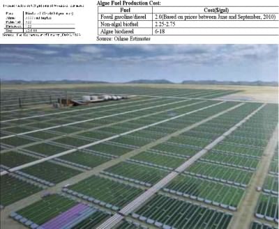 Algal biofuel: A promising next-generation potential | The Daily Star