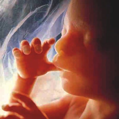 Smoking affects baby in the womb | The Daily Star