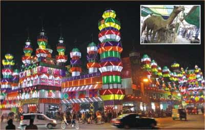 The Urs Culture | The Daily Star