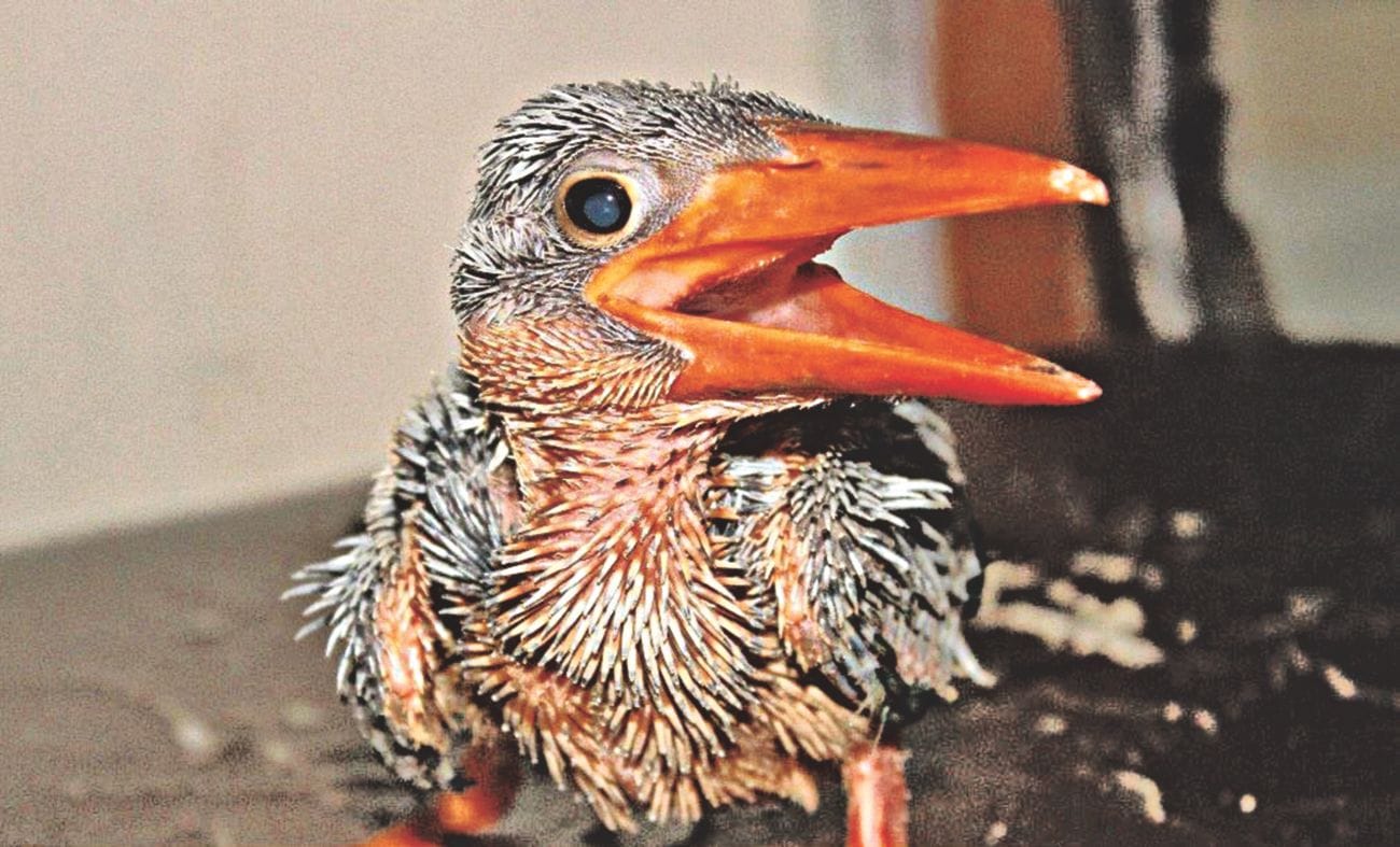 TODAY'S GALLERY (2016.09.16) | The Daily Star