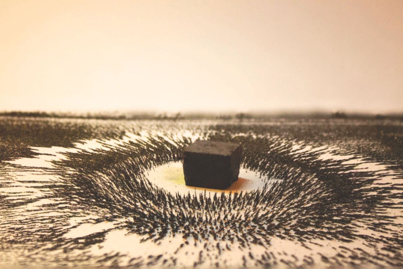 Fleeting Moments | The Daily Star