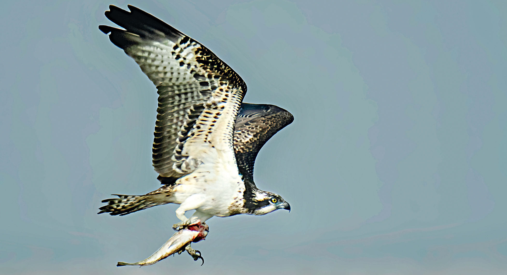 Today's Gallery (2021.12.17) | The Daily Star