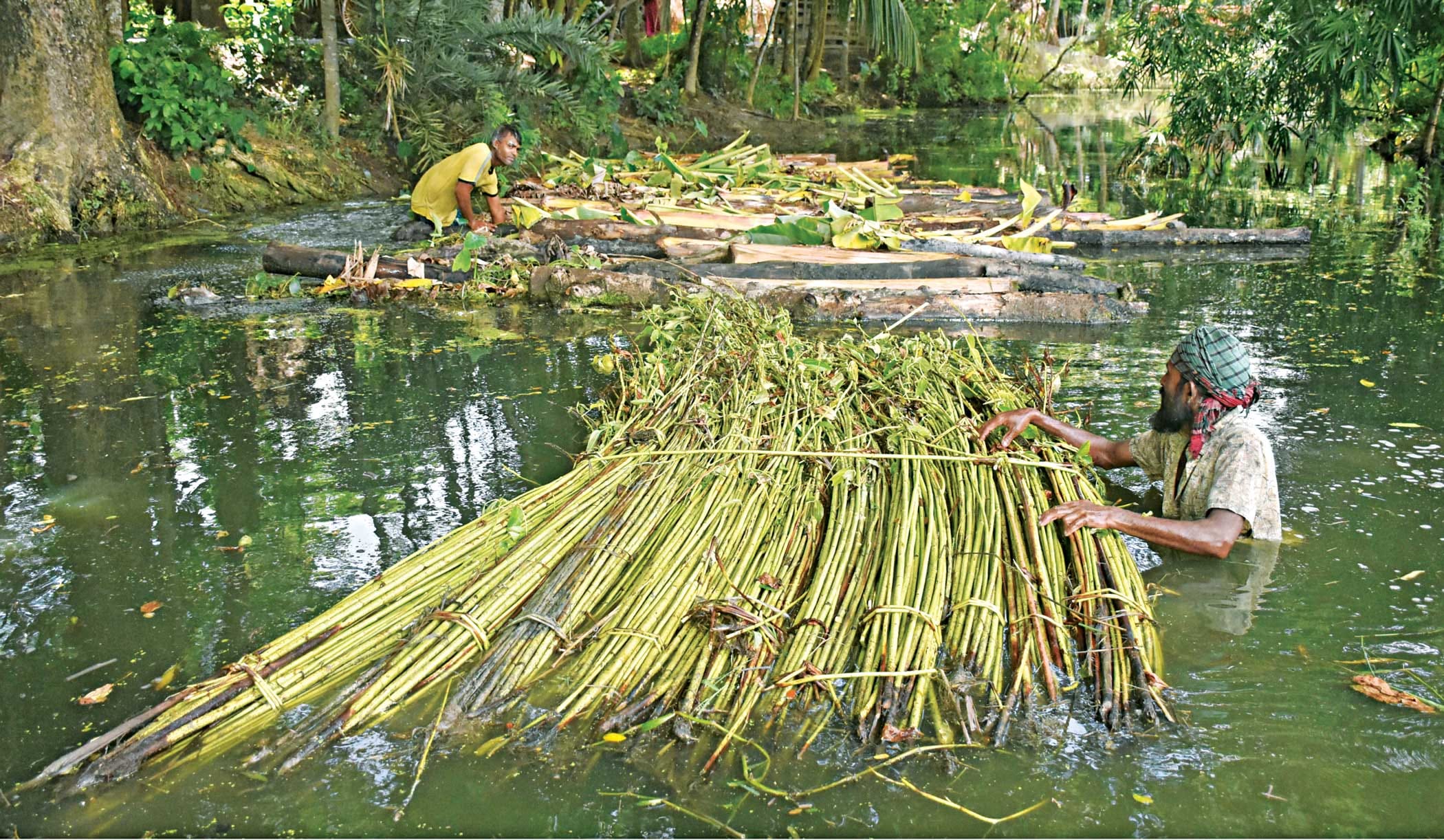 Business Gallery | The Daily Star