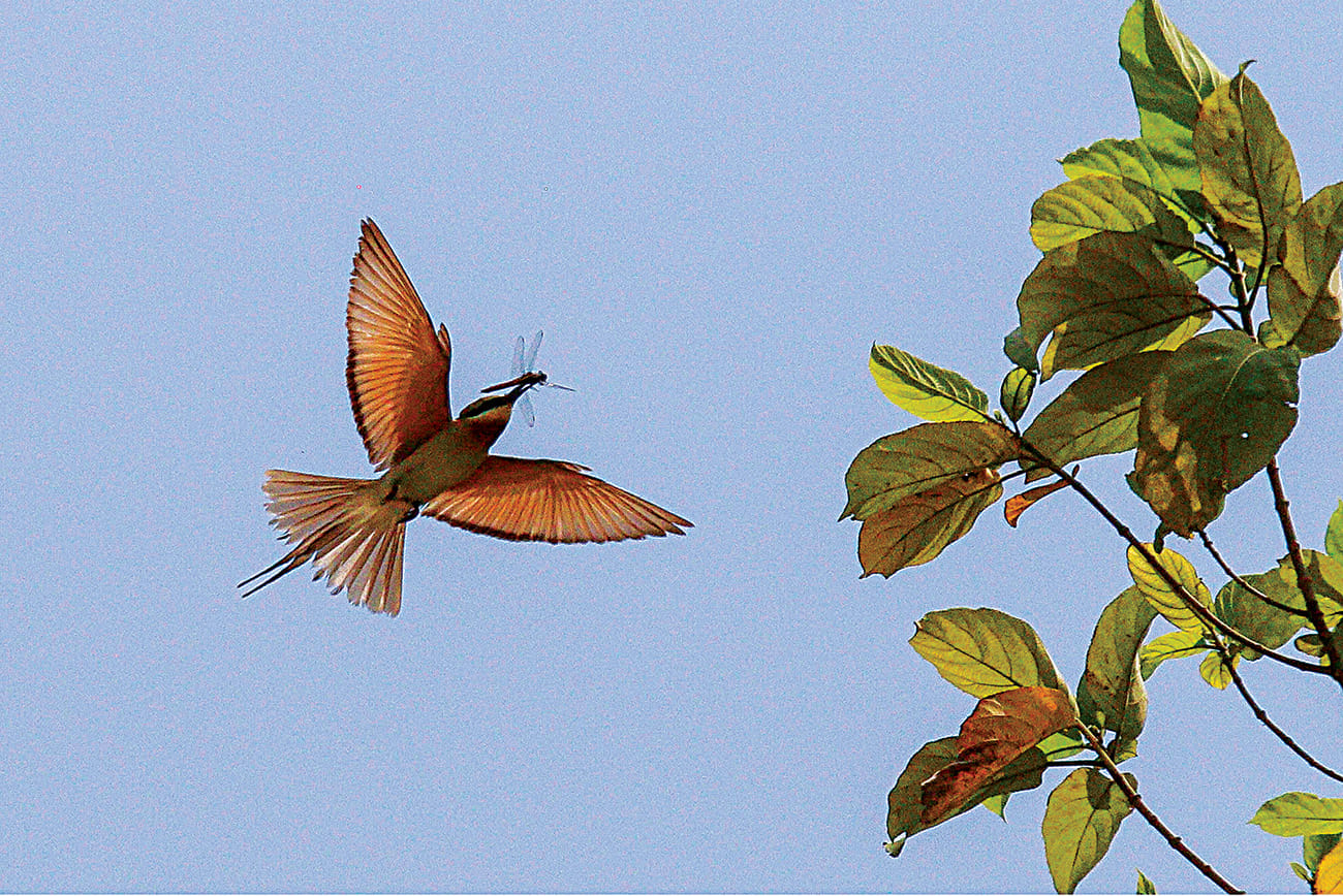 Today's Gallery (2019.06.14) | The Daily Star