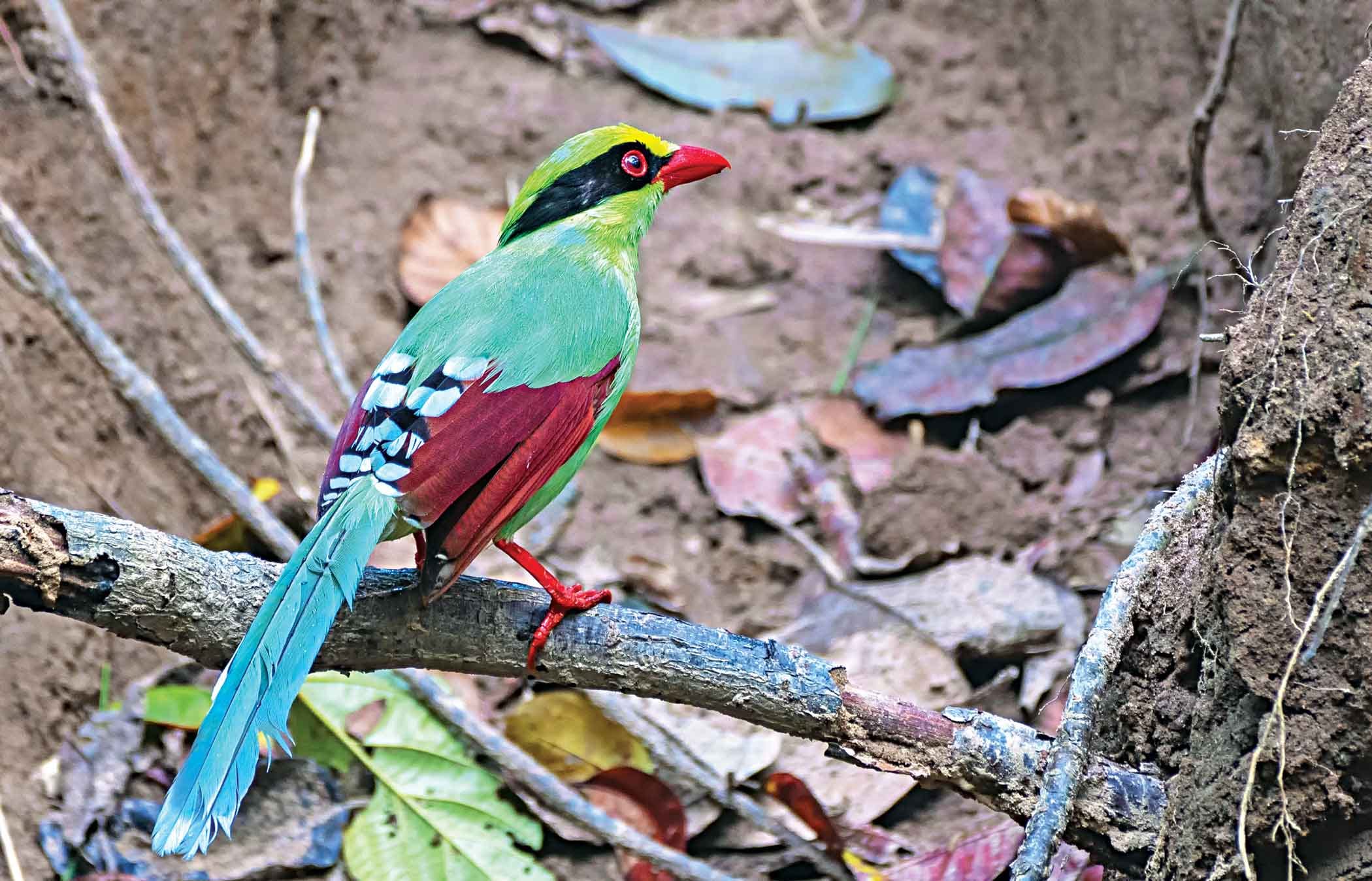 Today's Gallery (2021.05.07) | The Daily Star