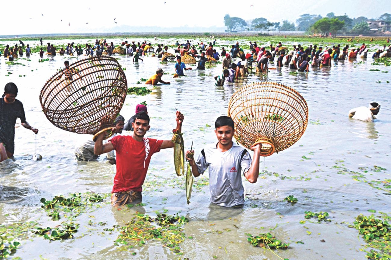 Today's Gallery (2016.01.16) | The Daily Star