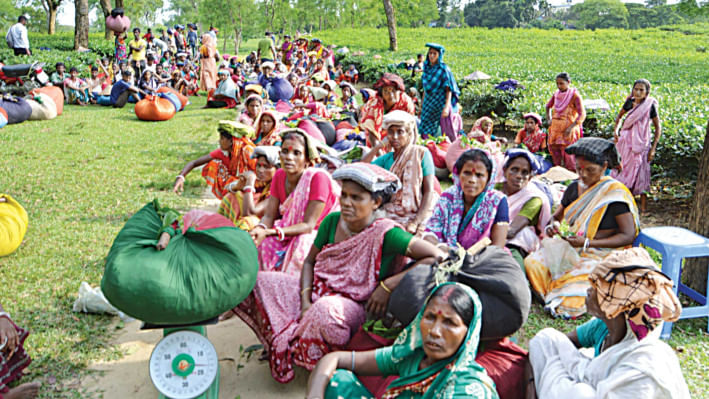 Tea workers in Bangladesh | The Daily Star