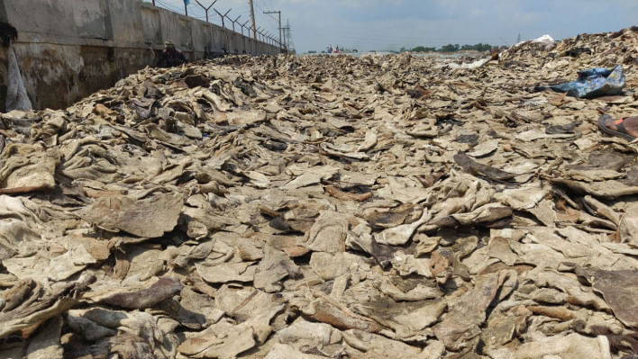 tannery waste management in Bangladesh | The Daily Star