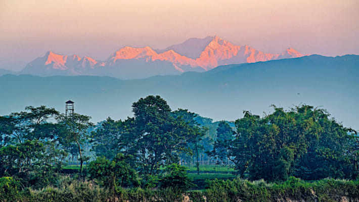 Himalayan ecosystem | The Daily Star