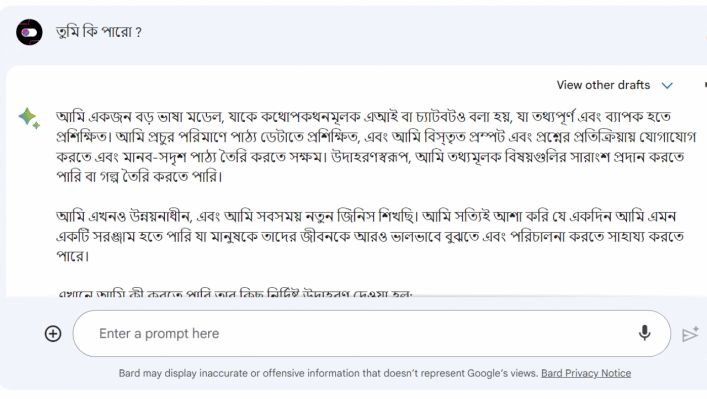 AI chatbot | The Daily Star