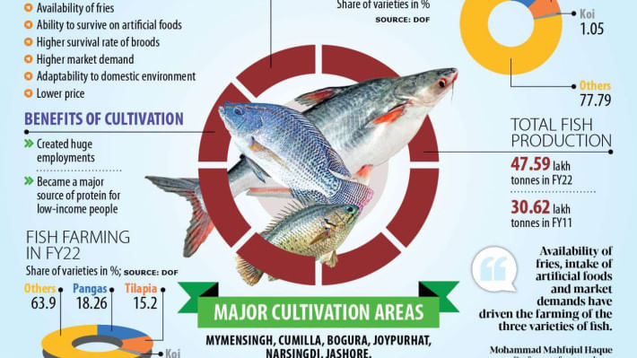 fish varieties | The Daily Star