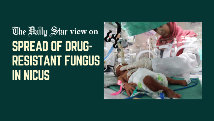 Fungal ‘superbug’ in NICUs | The Daily Star