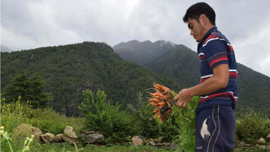 To build a greener economy, Bhutan wants to go organic by 2020 | The ...