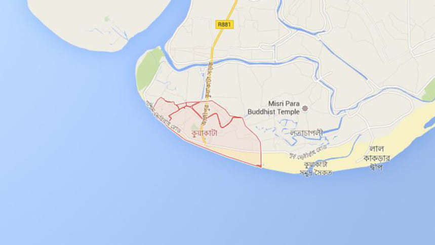 Dolphin washes ashore on Kuakata beach | The Daily Star