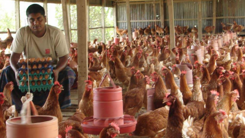 Poultry farming changes life of a vendor | The Daily Star