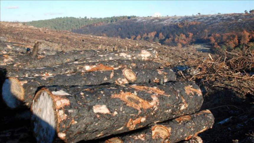 Cuba announces 2021 inflation over 70pc | The Daily Star