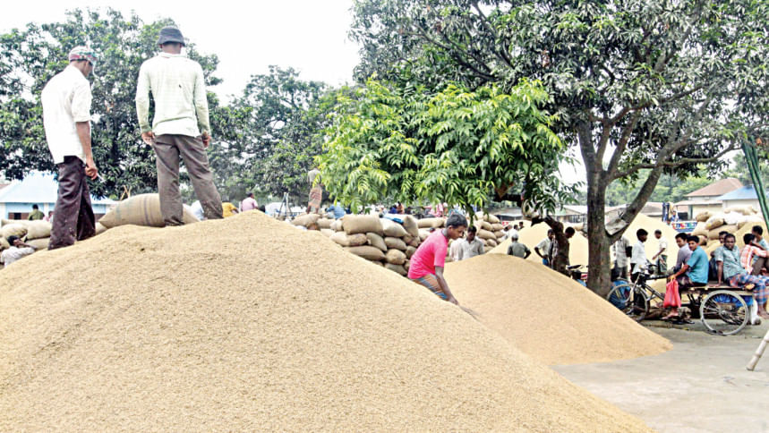 Rice farmers delighted at Kataribhog’s price hike | The Daily Star