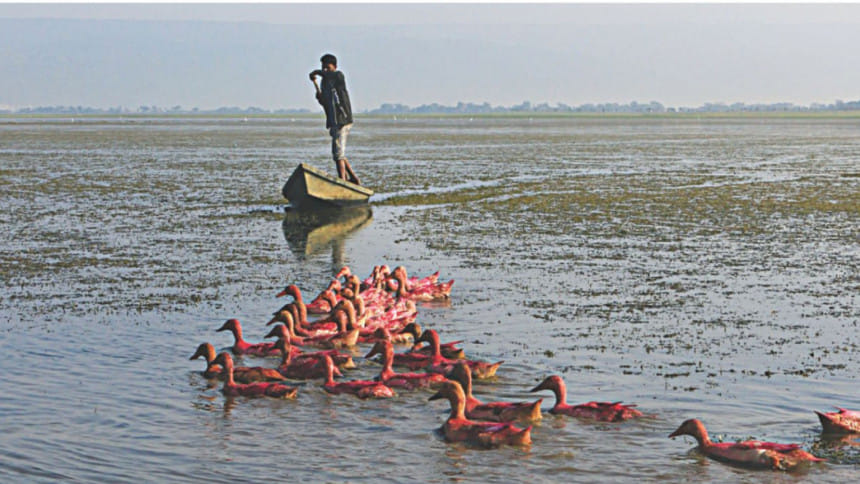 Govt decides not to construct roads in Haor areas | The Daily Star