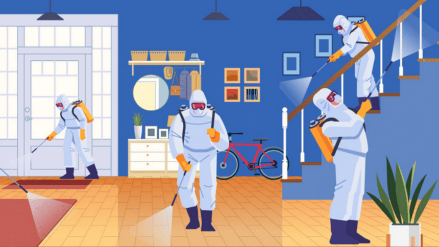 Pest control: how to deal with cockroaches and other vermin