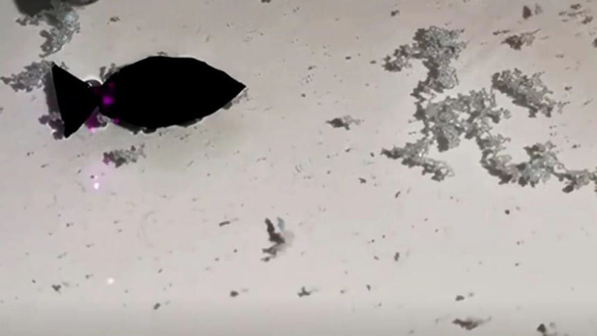 Robot fish that "eat" microplastics developed by Chinese scientists ...
