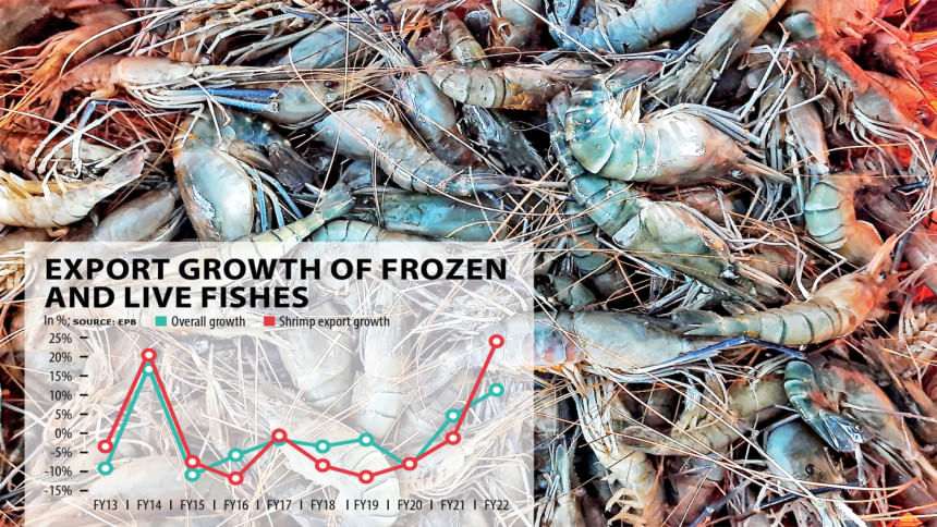 Frozen fish exports rebound, hit 6-year high | The Daily Star