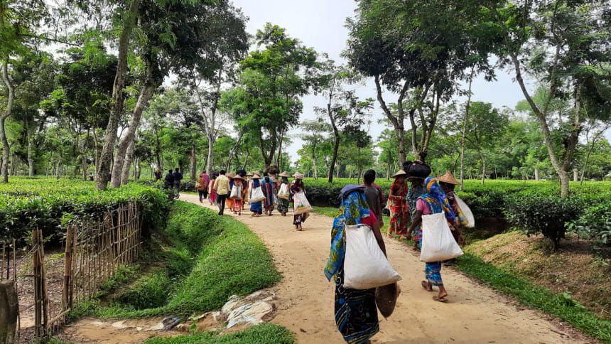 Unhappy tea workers return to work | The Daily Star