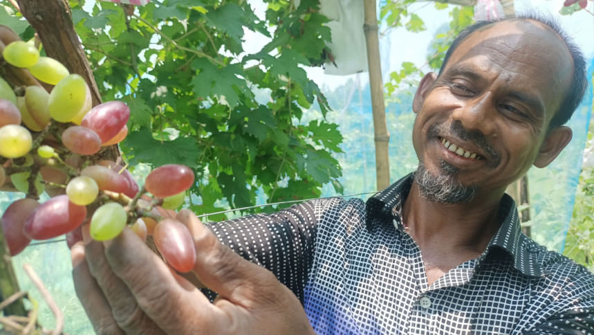 Reviving barren land through grape farming | The Daily Star
