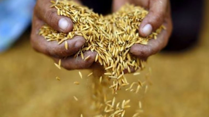 Thailand says no rice export halt, to benefit from India's export ban ...