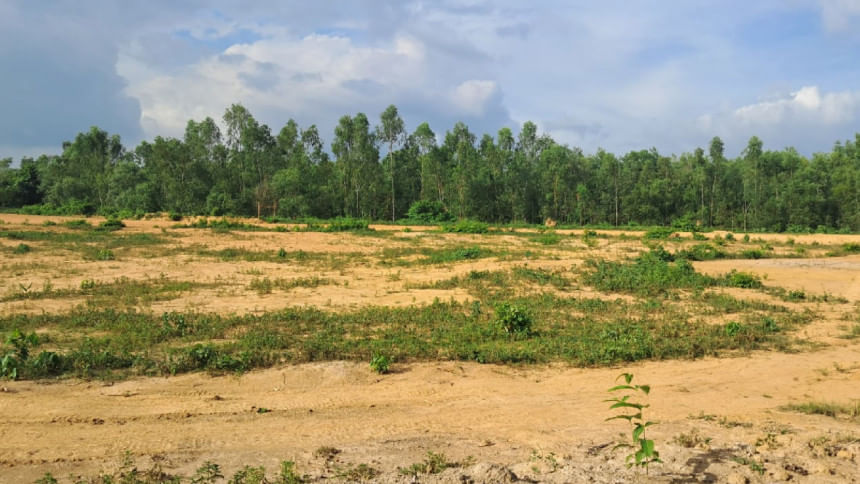 Fatikchhari Upazila in Ctg: Forest land grabbed for cattle farm | The ...