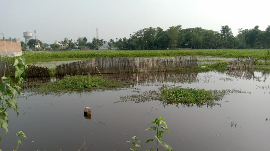 100 hectares of arable land waterlogged for 10 years | The Daily Star