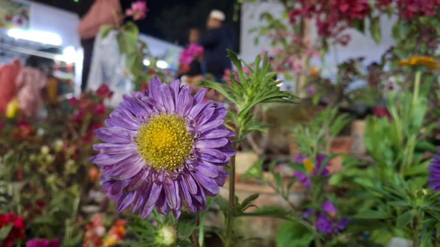 Pushpo Mela in Rajshahi: A symphony of colours and fragrance | The ...