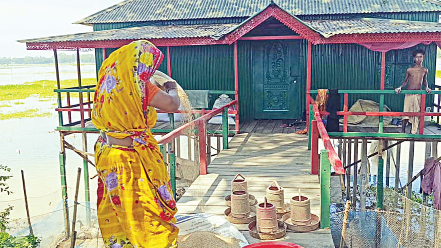 How duck farming reshaped Chalan Beel’s economy | The Daily Star