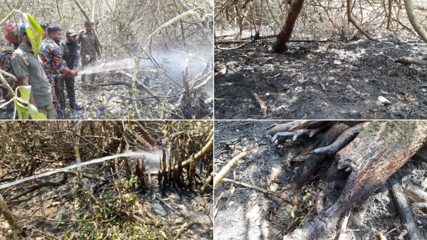 Sundarbans Forest Fire Damage | Fire destroys 5.5 acres of Sundarbans ...