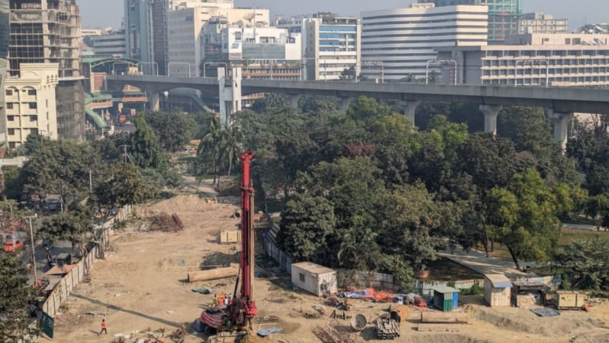 Apathy and lack of legal protection endanger dwindling urban greenery ...