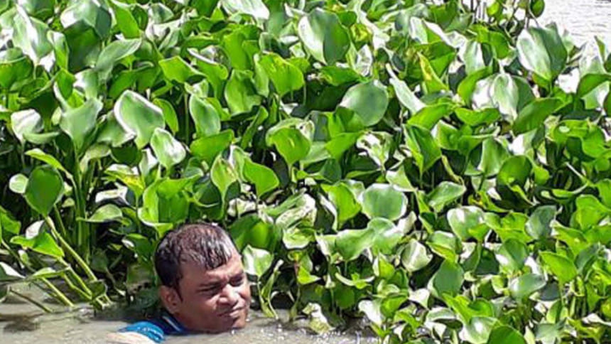 Ashurar Beel getting back beauty | The Daily Star