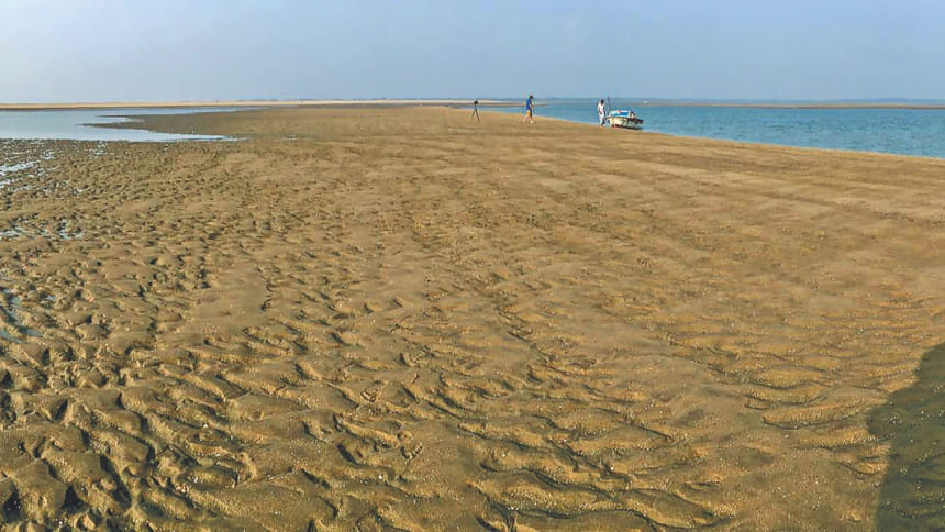 The million promises and little perils of bird-watching by the coast of ...