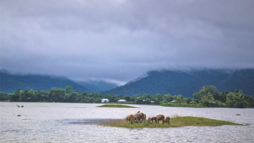Wonders of The Rain | The Daily Star