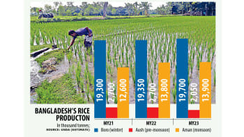 Rice production growth slows despite rising demand | The Daily Star