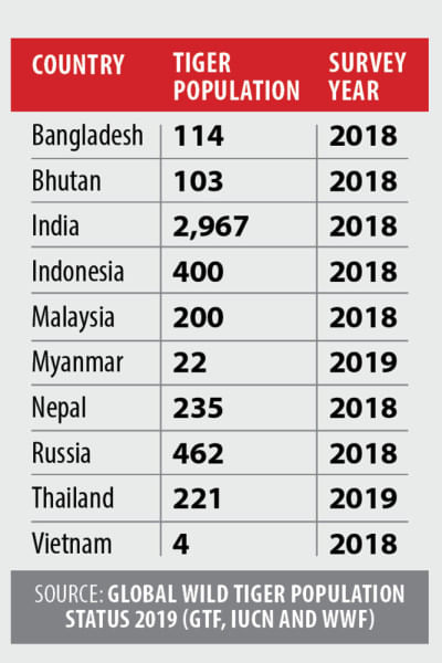 Int’l Tiger Day: Little progress in fulfilling commitment | The Daily Star