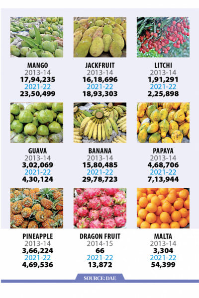 Fruit Production: A silent revolution waged by farmers | The Daily Star