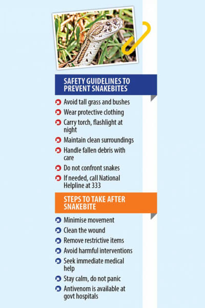 Safety Guidelines to Prevent Snakebites | Don’t panic: refrain from ...
