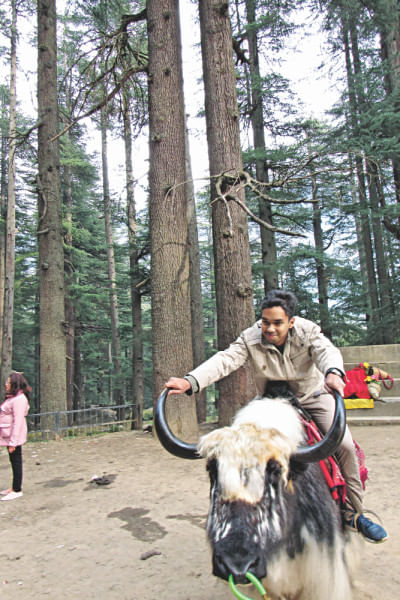 Manali: The kingdom of snow | The Daily Star
