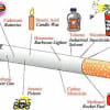 Some e-cigarette flavors are more toxic than others finds new study ...