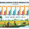 2 New High-Yielding Boro Rice Varieties | BRRI develops two new rice ...