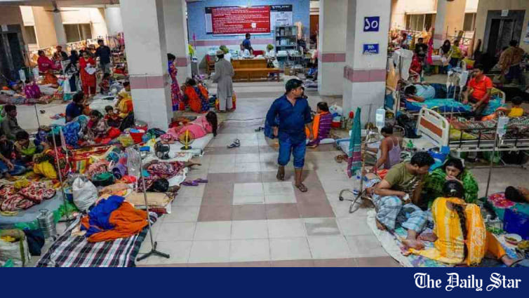 21 more dengue cases reported in 24 hours | The Daily Star