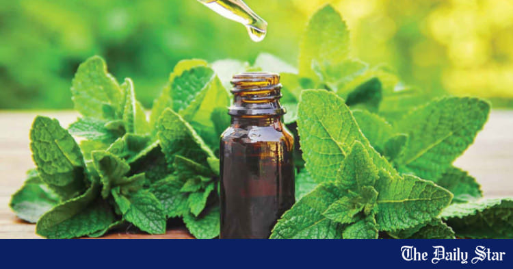 Health benefits of peppermint | The Daily Star