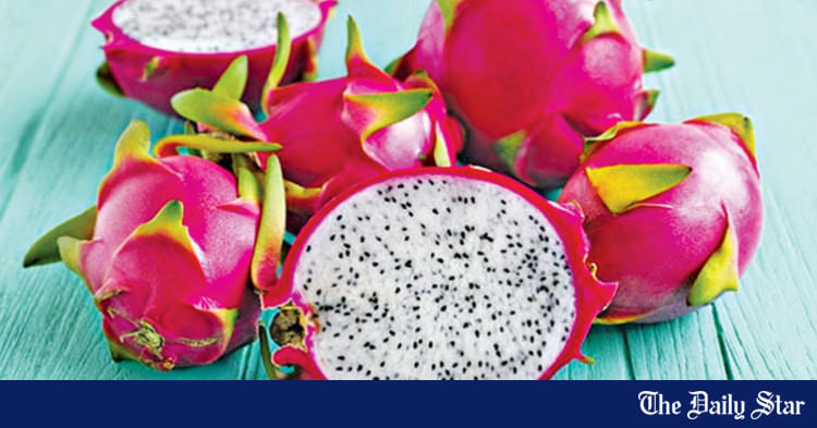 A lotus, not a Chinese dragon: India's Gujarat changes name of fruit ...